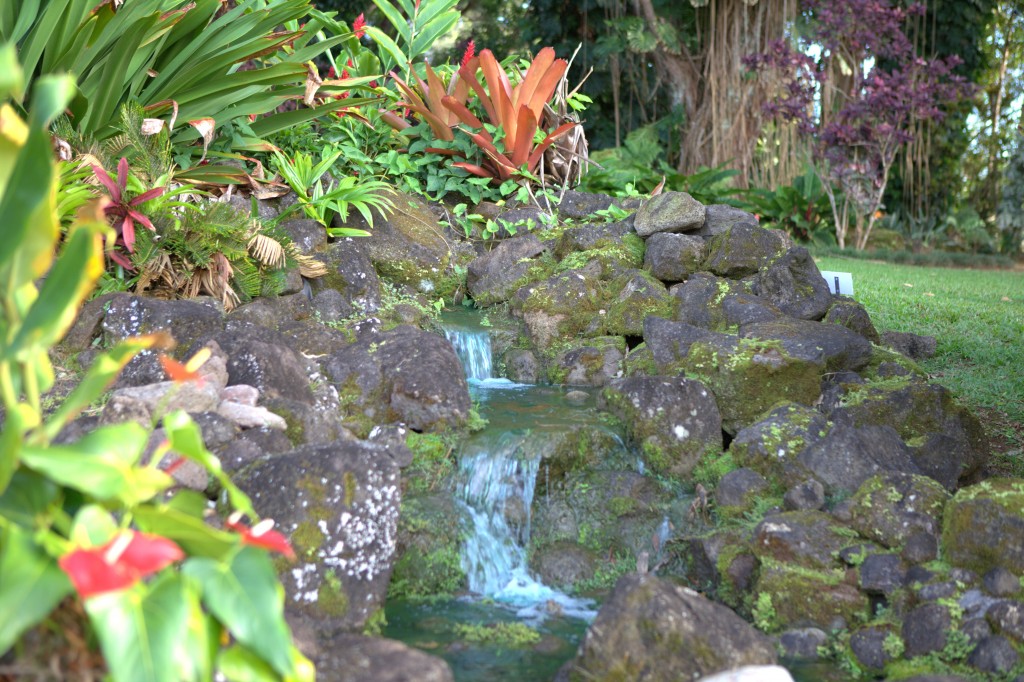 The Private Dining Experience at Sunset Ranch - Sunset Ranch Hawaii